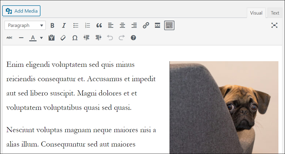 How To Use The WordPress Classic Editor WordPress For Non Techies 